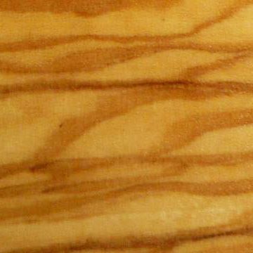 Tropical olive wood (Olea europaea)